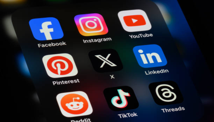 Social media regulations in Pakistan should be balanced, urge experts at NIPP