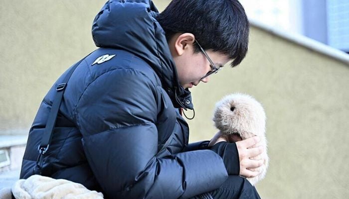 Young in China turn to smart AI pets for emotional relief