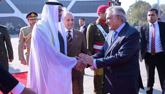 UAE eyes stake in company holding PIA shares